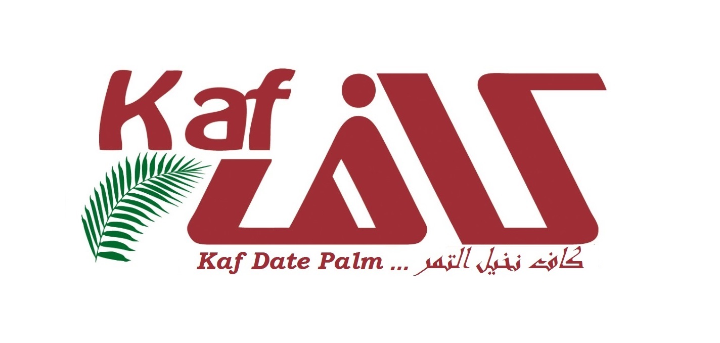 KAF DATE PALM